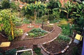 How To Design A Wiccan Herb Garden - Herb Garden Design